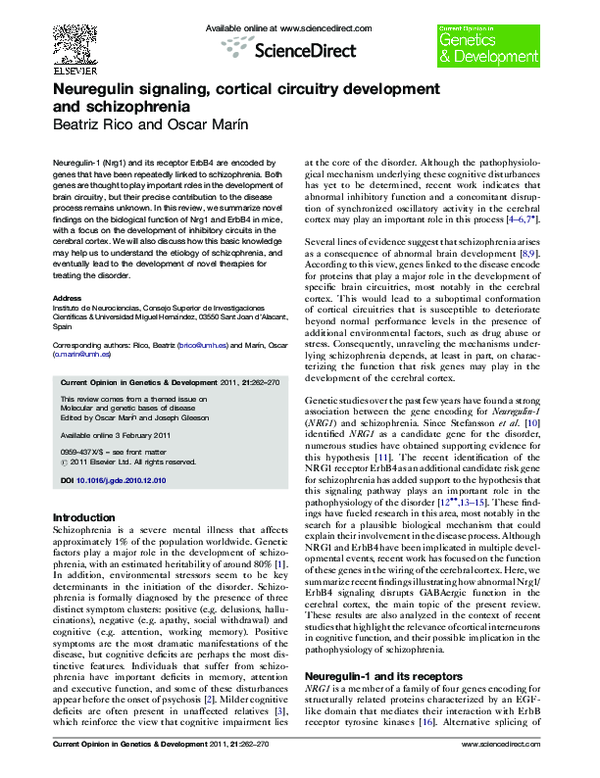 (PDF) Neuregulin signaling, cortical circuitry development and ...