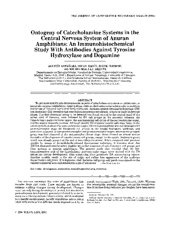(PDF) Ontogeny of catecholamine systems in the central nervous system ...