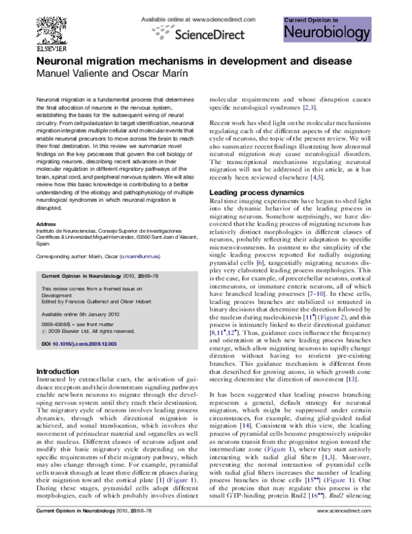 (PDF) Neuronal migration mechanisms in development and disease