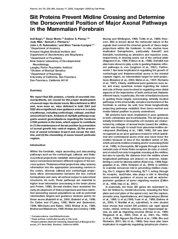 (PDF) Slit Proteins Prevent Midline Crossing and Determine the ...