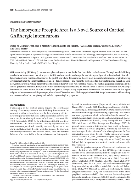 (PDF) The Embryonic Preoptic Area Is a Novel Source of Cortical ...