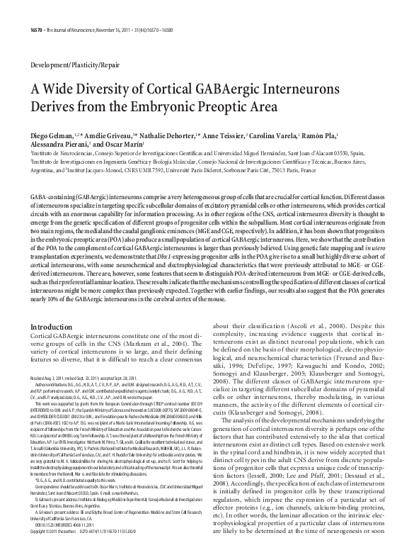 (PDF) A Wide Diversity of Cortical GABAergic Interneurons Derives from ...