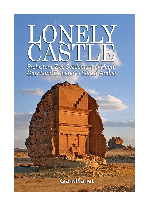 (PDF) Lonely Castle : Prehistoric Tree Settlement of Hegra - Qasr Farid ...