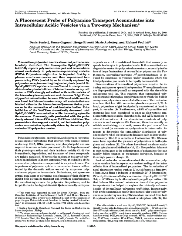(PDF) A Fluorescent Probe of Polyamine Transport Accumulates into ...