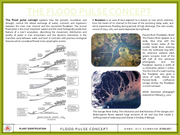 (PPT) Flood pulse concept