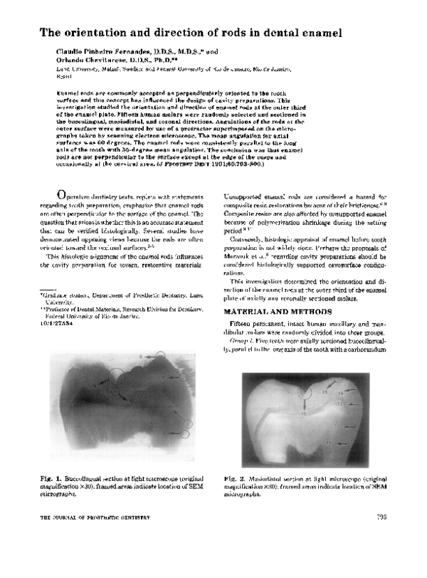 (PDF) The orientation and direction of rods in dental enamel