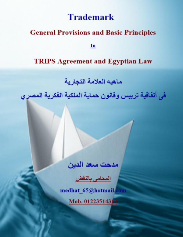 (PDF) Trademark and General Provisions and Basic Principles In TRIPS ...
