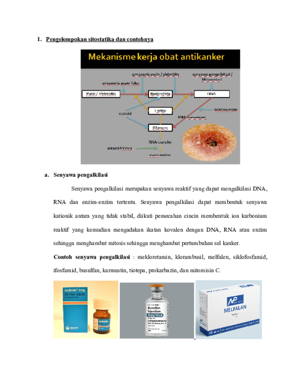 (DOC) Pengelompokan sitostatika dan contohnya