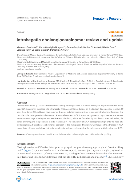 (PDF) Intrahepatic cholangiocarcinoma: review and update