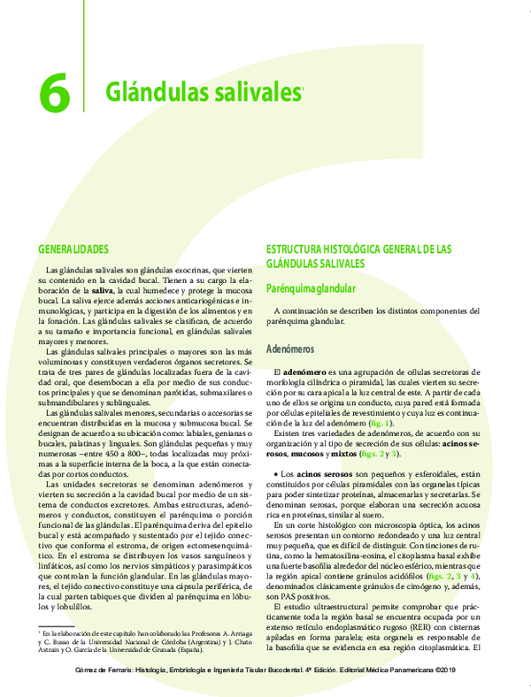 (PDF) Glándulas salivales 1 GENERALIDADES