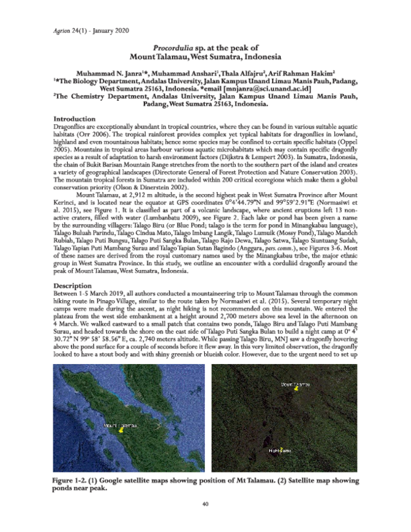 (PDF) Procordulia sp. at the peak of Mount Talamau, West Sumatra, Indonesia