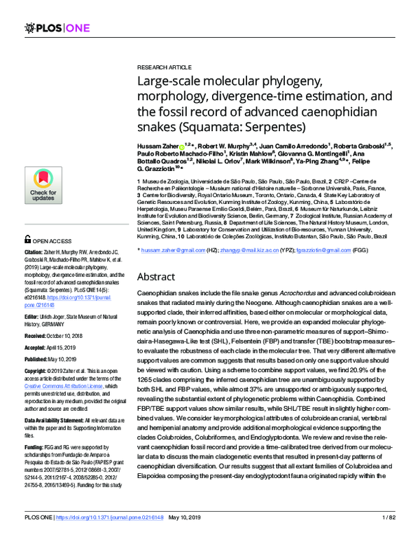 (PDF) Large-scale molecular phylogeny, morphology, divergence-time ...