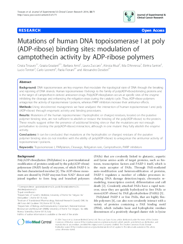 (PDF) Mutations of human DNA topoisomerase I at poly(ADP-ribose ...