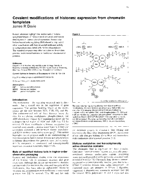(PDF) Covalent modifications of histones: expression from chromatin ...