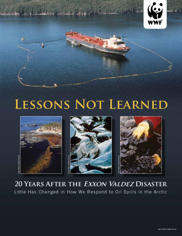 (PDF) Lessons Not Learned