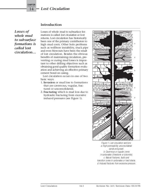 (PDF) Lost Circulation