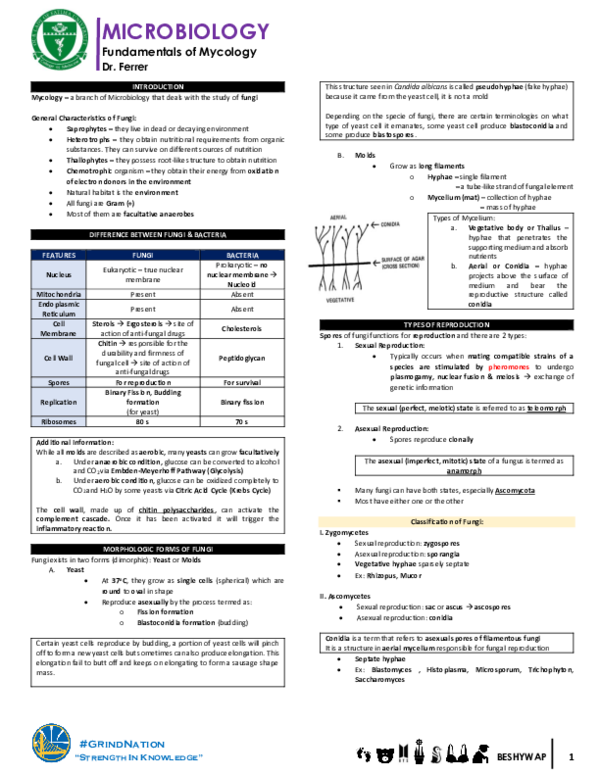 (PDF) Microbiology 1-