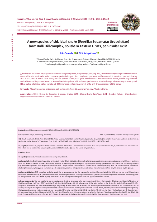 (PDF) A new species of shieldtail snake (Reptilia: Squamata ...