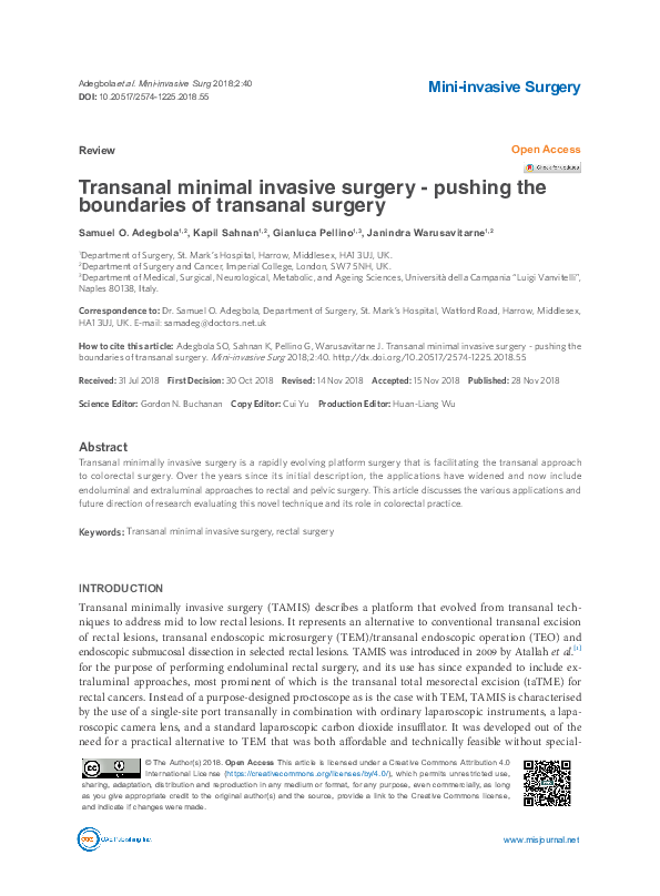 (PDF) Transanal minimal invasive surgery -pushing the boundaries of transanal surgery