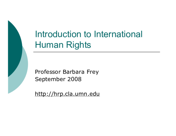 (PDF) Introduction to International Human Rights