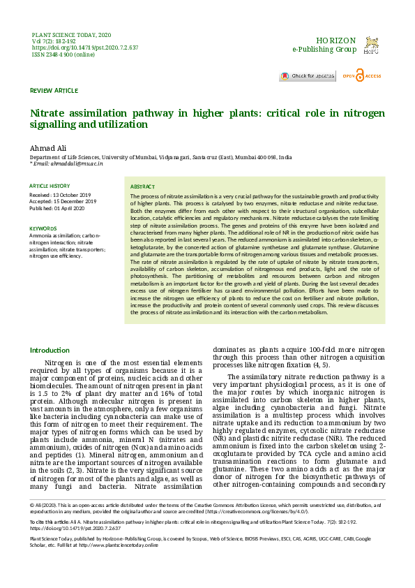 (PDF) Nitrate assimilation pathway in higher plants: critical role in ...