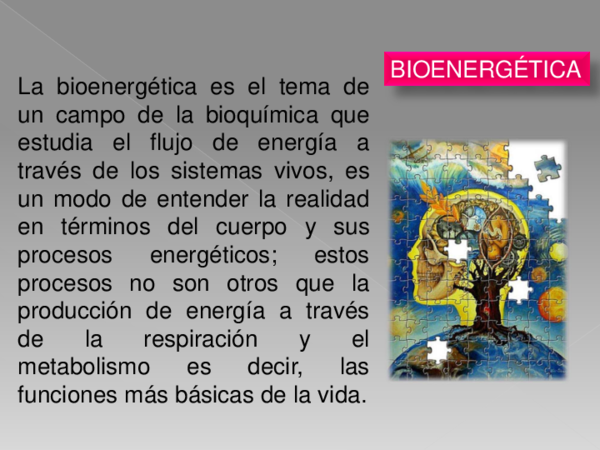(PDF) Bioenergética