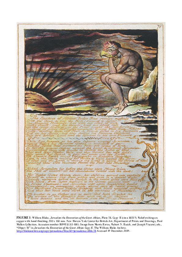 (PDF) An Erne in Erin: William Blake Depicts a "Sea Eagle" and Dillisk ...