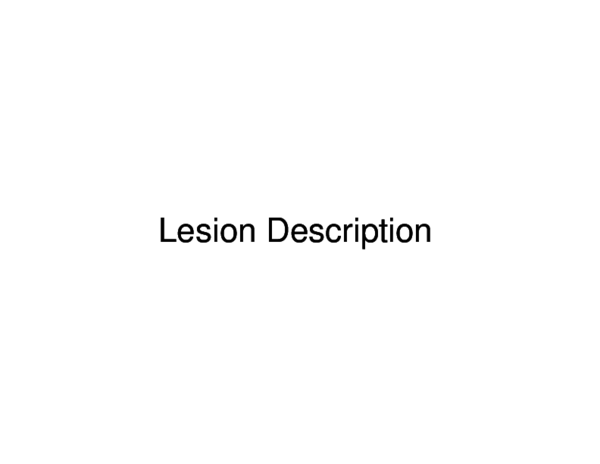 (PDF) Lesion Description