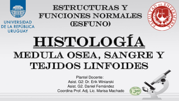 (PDF) Histología Medula osea, sangre y tejidos linfoides Estructuras Y ... (PDF) Histología Medula osea, sangre y tejidos linfoides Estructuras Y ...