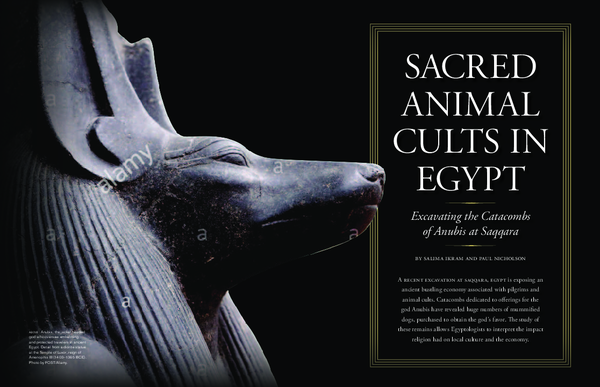 (PDF) Sacred Animal Cults in Egypt: Excavating the Catacombs of Anubis ...