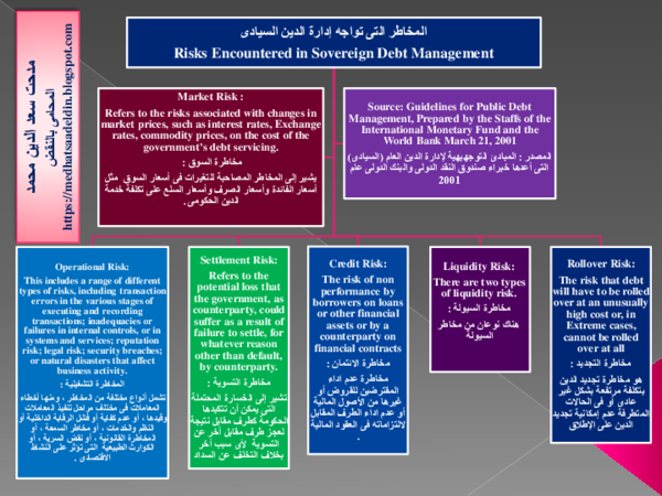 (PDF) ‬ Risks Encountered in Sovereign Debt Management | Medhat Saad Eldin - Academia.edu