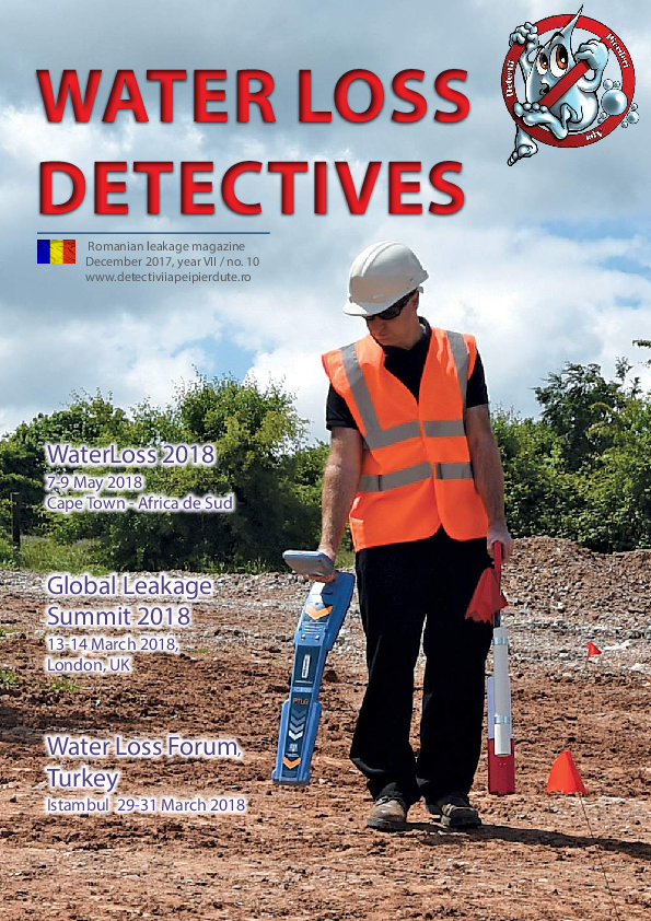 (PDF) Water Loss Detectives