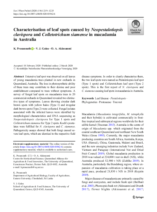 (PDF) Characterisation of leaf spots caused by Neopestalotiopsis clavispora and Colletotrichum ...