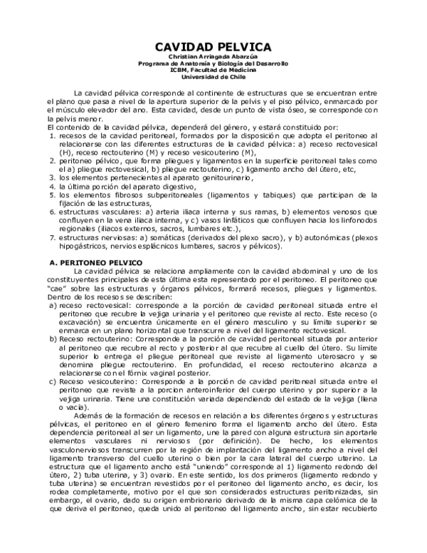 Pdf Cavidad Pelvica