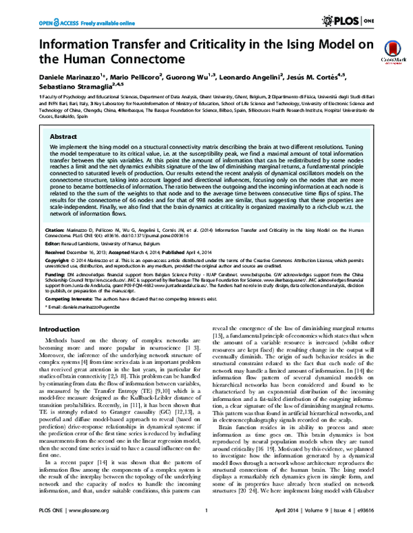 (PDF) Information Transfer and Criticality in the Ising Model on the ...