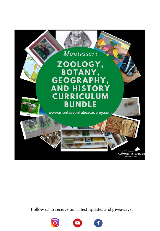 (PDF) Zoology, Botany, Geography, and History curriculum bundle