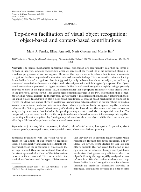 (PDF) Top-down facilitation of visual object recognition: object-based and context-based ...