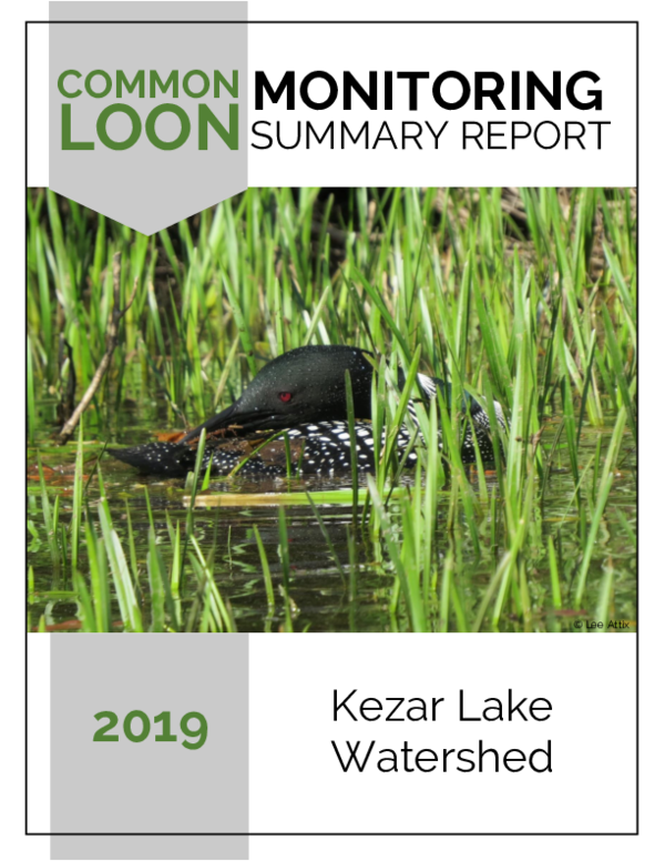 (PDF) LOON MONITORING SUMMARY REPORT