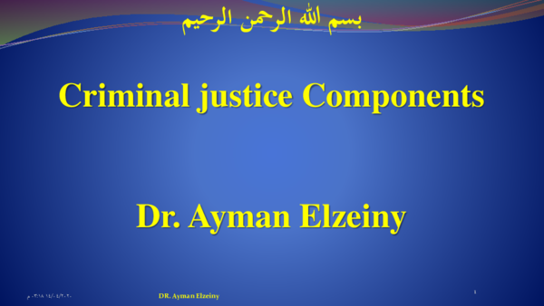 (PDF) ‬Criminal justice Components