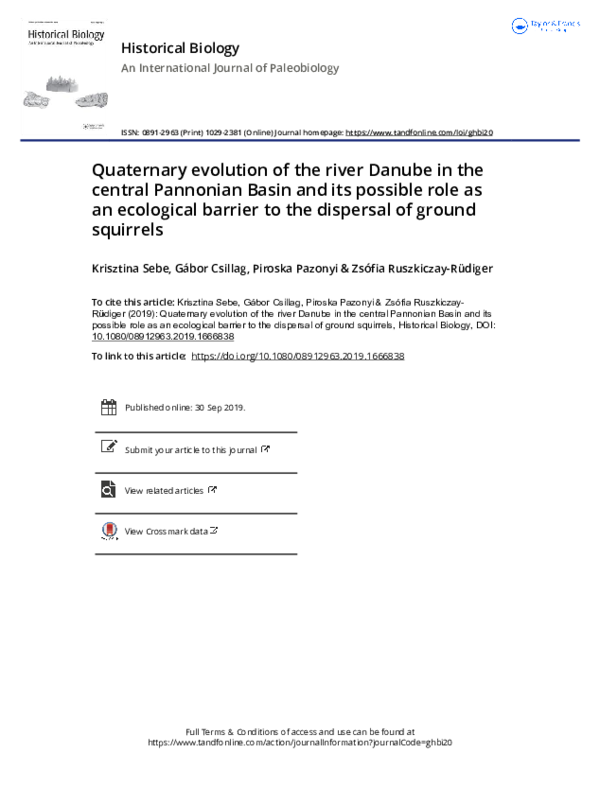 (PDF) Quaternary evolution of the river Danube in the central Pannonian ...