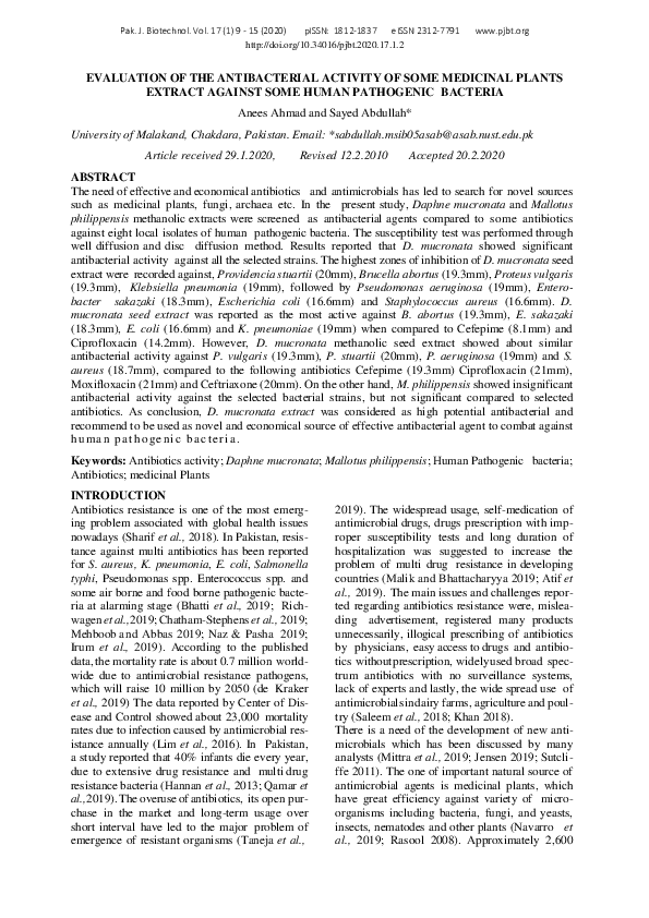 (PDF) In vitro antibacterial activity of Rumex nervosus and Clematis simensis plants against ...