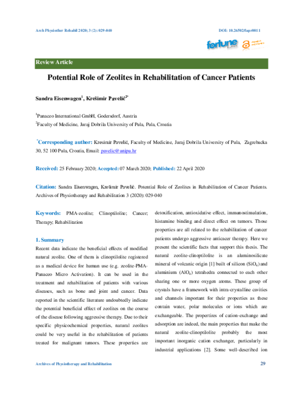 (PDF) Potential role of zeolites in rehabilitation of cancer patients
