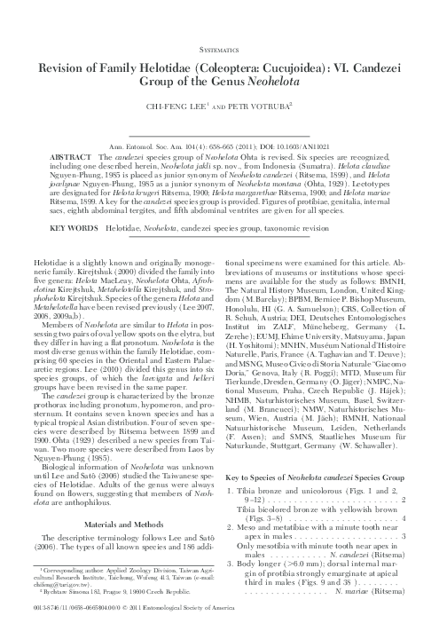 (PDF) Revision of Family Helotidae (Coleoptera: Cucujoidea): VI ...