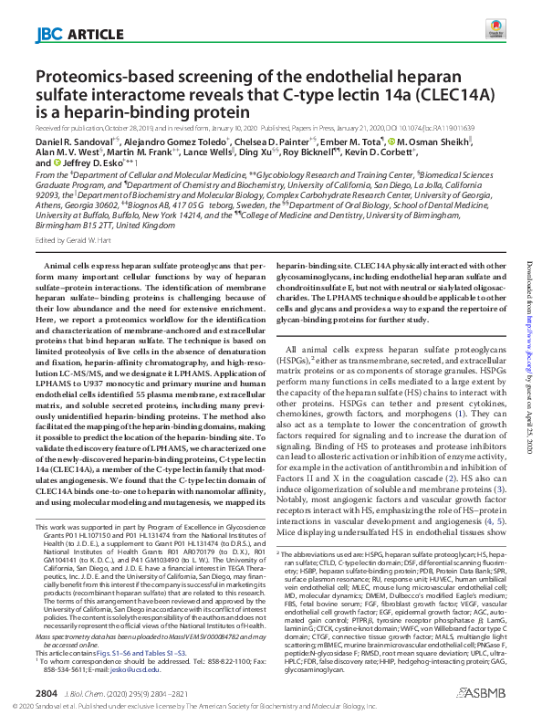 (PDF) Proteomics-based screening of the endothelial heparan sulfate ...