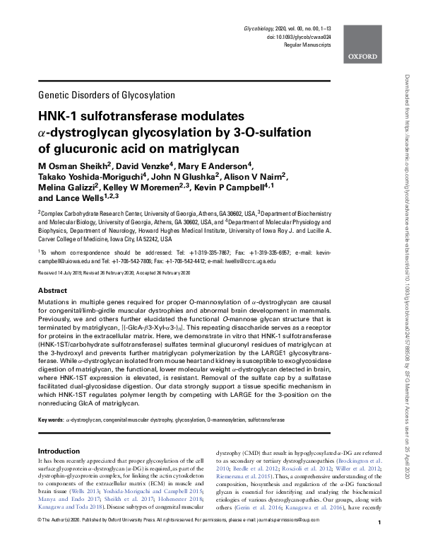 (PDF) HNK-1 sulfotransferase modulates α-dystroglycan glycosylation by ...