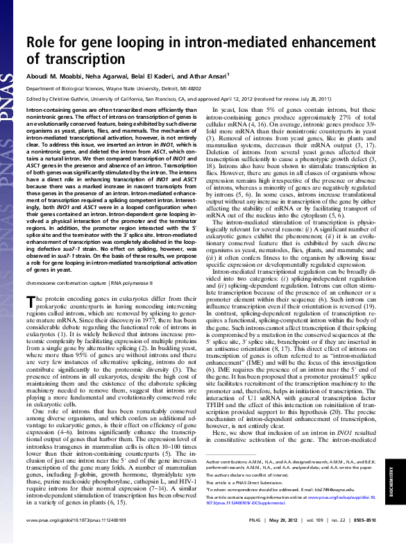(PDF) Role for gene looping in intron-mediated enhancement of transcription