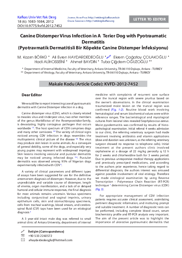(PDF) Canine Distemper Virus Infection in A Terier Dog with ...