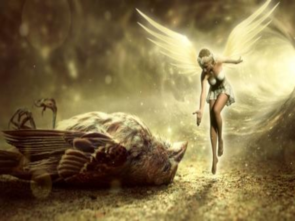 (PDF) Human persons as oriented towards their impending death. part 2x