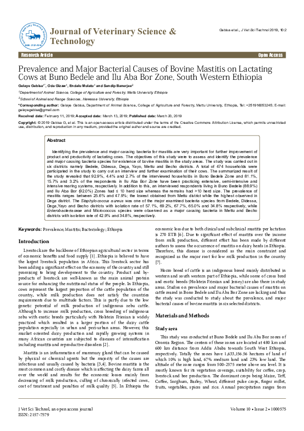(PDF) Prevalence and Major Bacterial Causes of Bovine Mastitis on ...