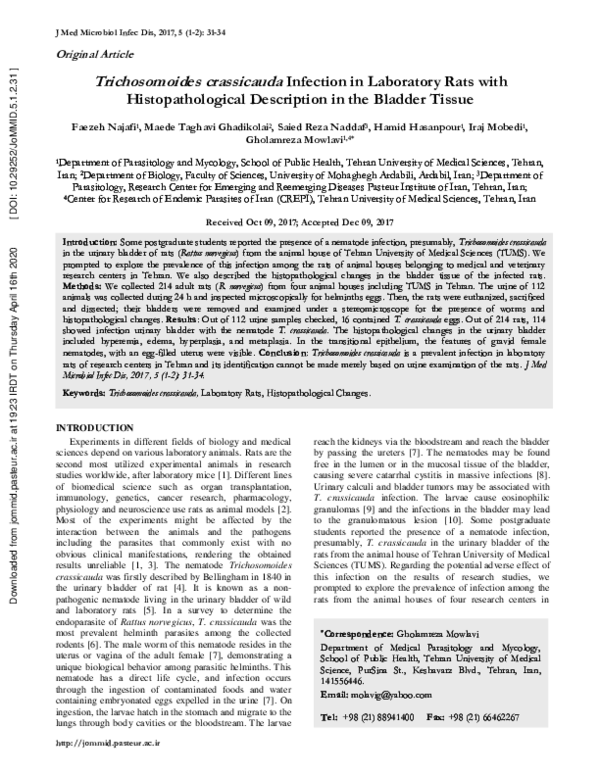 (PDF) Trichosomoides crassicauda Infection in Laboratory Rats with ...